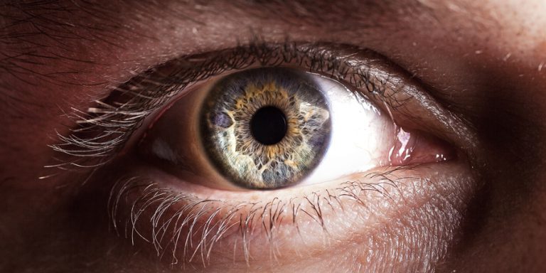 Light and the Brain: more than just sight - Catalyst Magazine